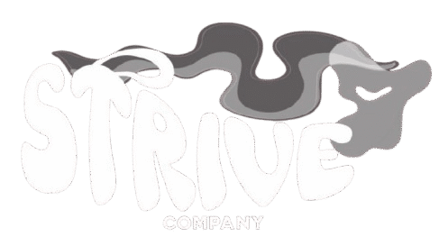 About Us - Strive Company